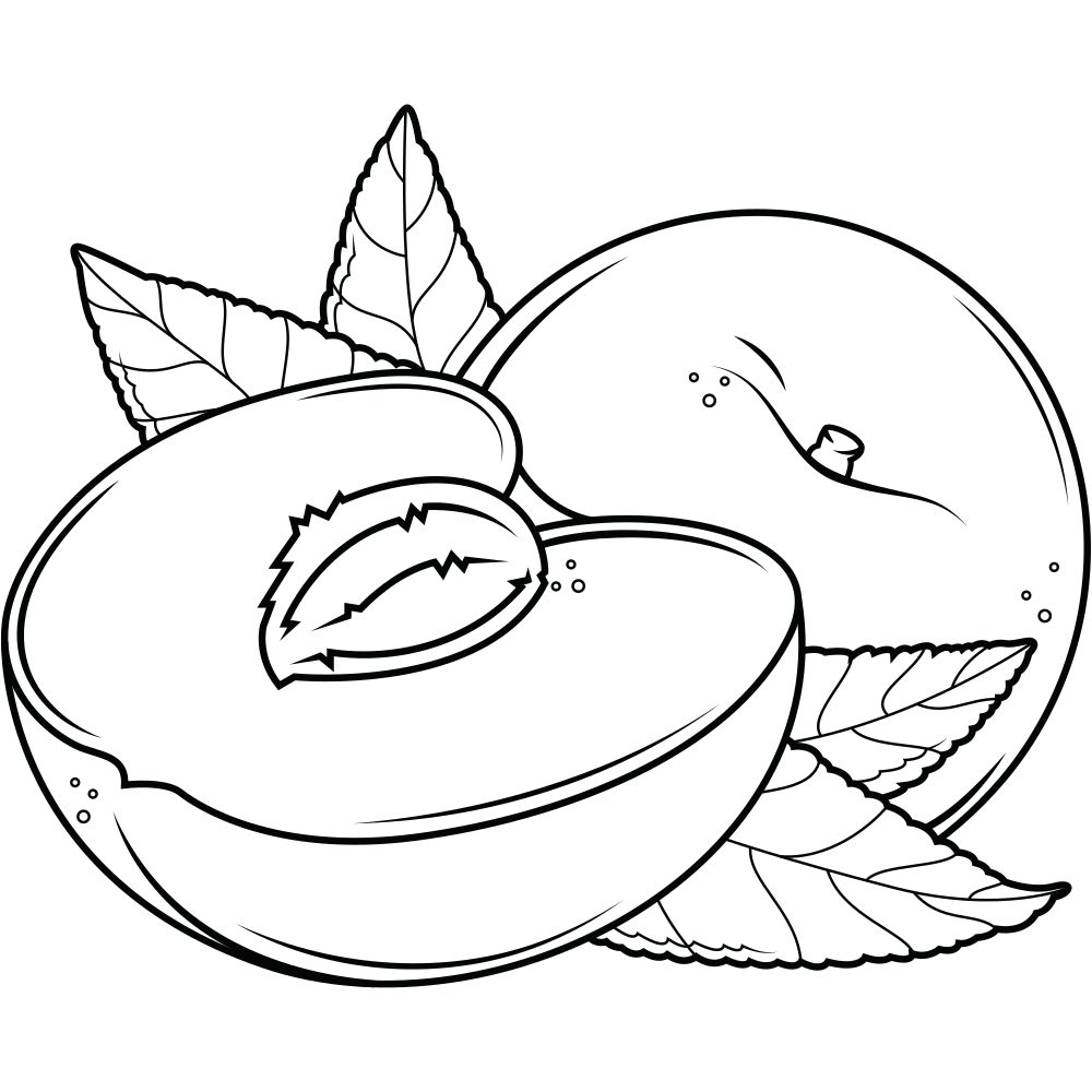 Fruit Coloring Pages - Printable - Kids Drawing Hub