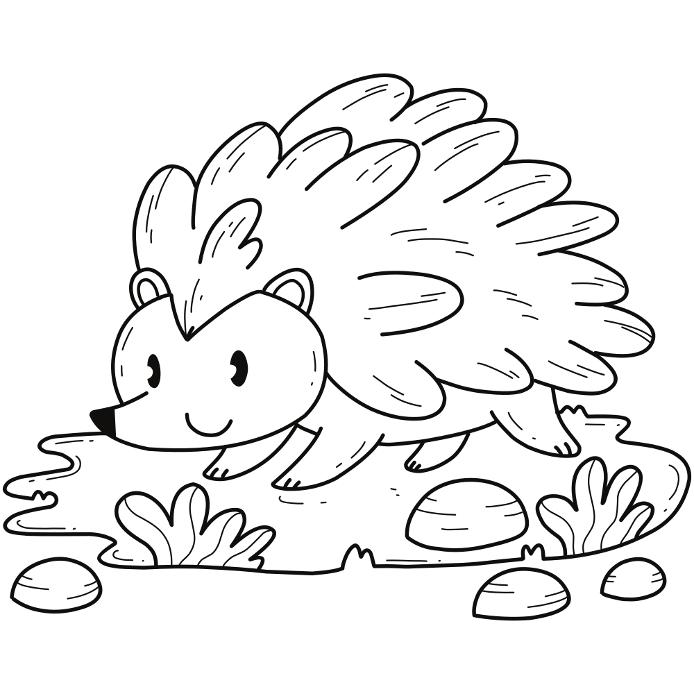 Hedgehog Coloring Pages - Printable - Kids Drawing Hub