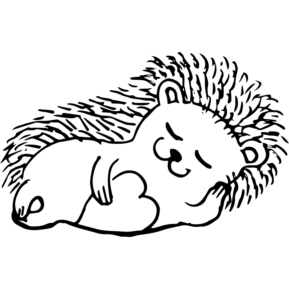 Hedgehog Coloring Pages - Printable - Kids Drawing Hub