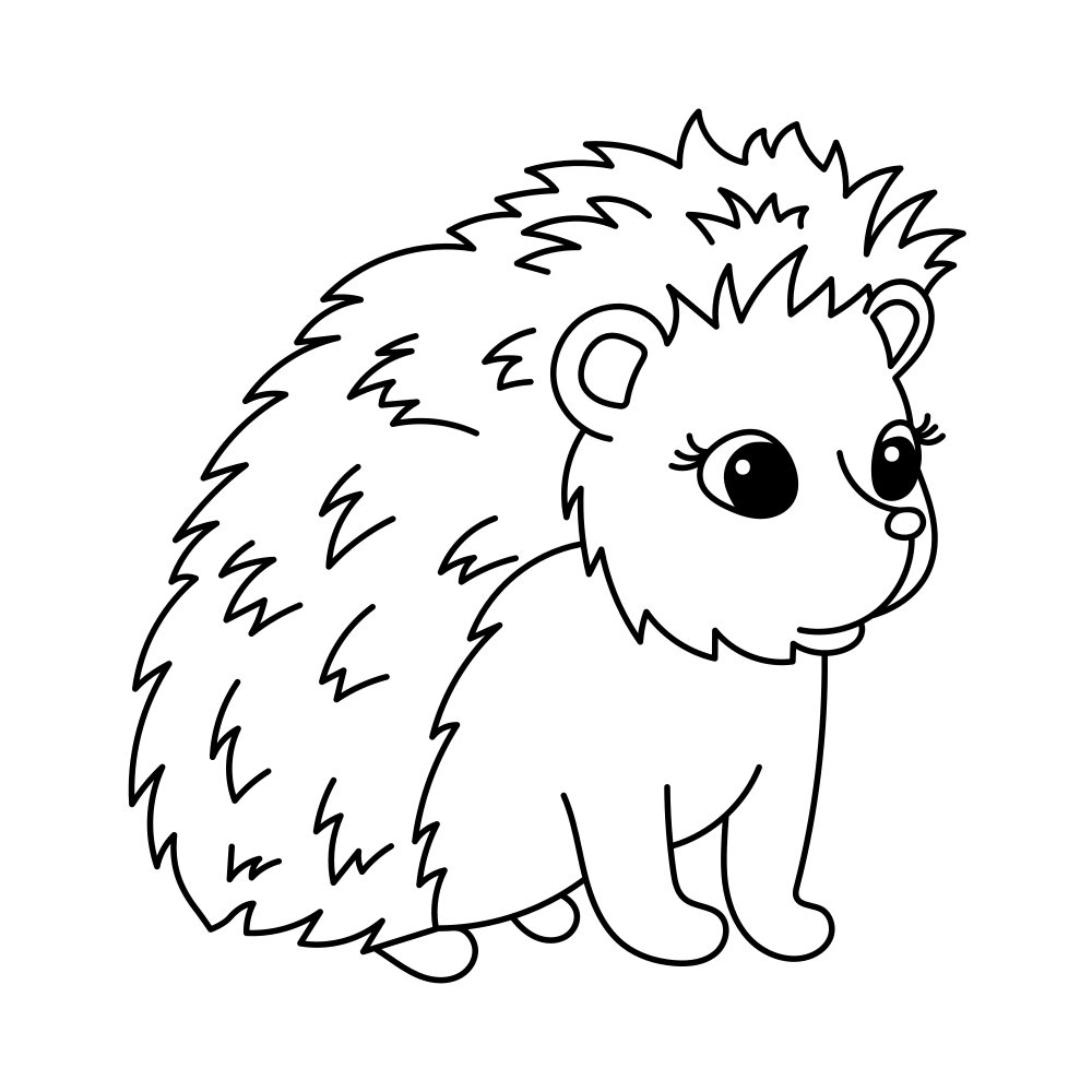 Hedgehog Coloring Pages - Printable - Kids Drawing Hub
